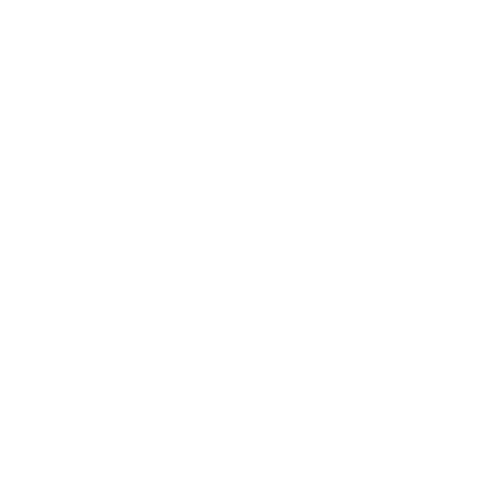 TEAM VIIKINKI - 4+1 PLAN :: Villeviikinki